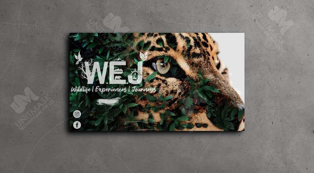 Elementor #7246 – Visual Pioneer Studio